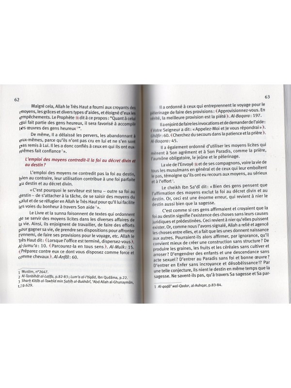 Comment comprendre le destin - Muhammad al-Hamad - Editions Al hadith